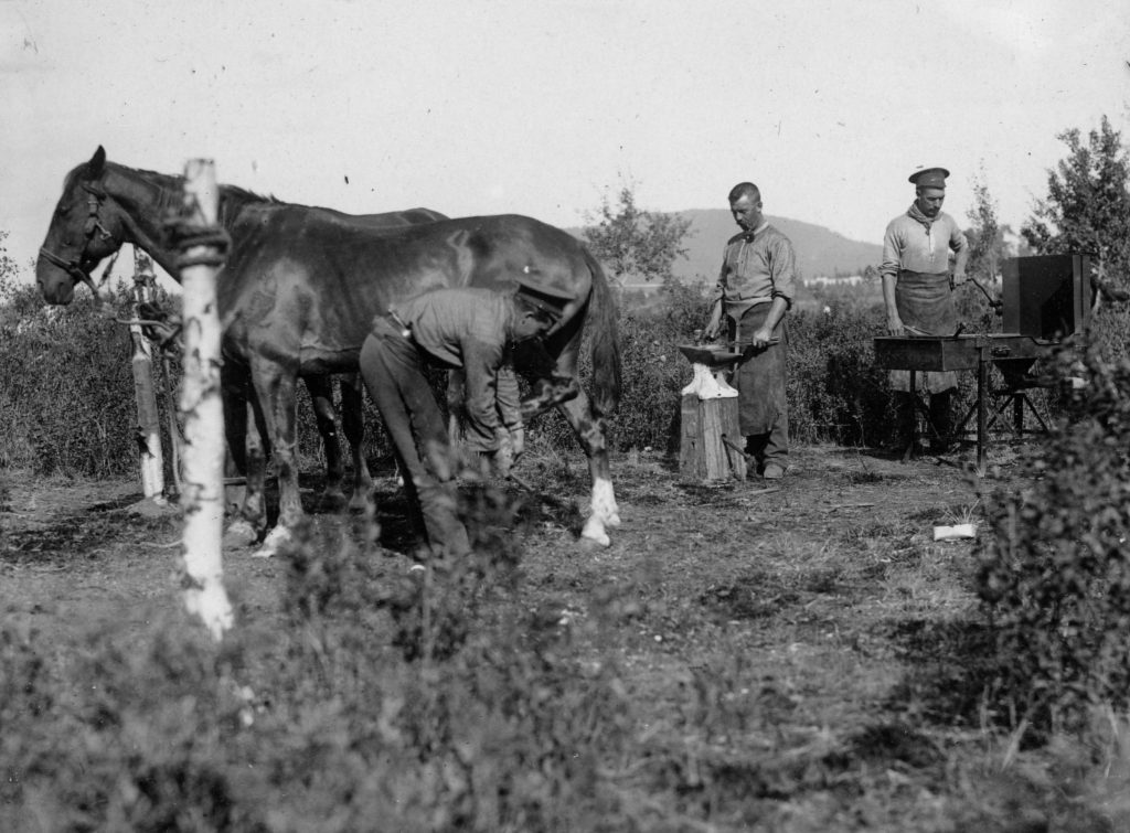 Canadian Expeditionary Force Soldiers Lord Strathcona’s Horse – First ...