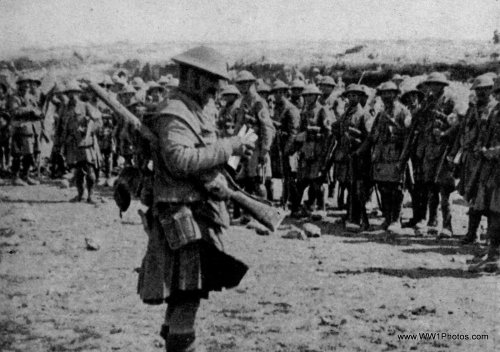 Seaforth Highlanders 1914-1918. World War One Photos, Obituaries ...