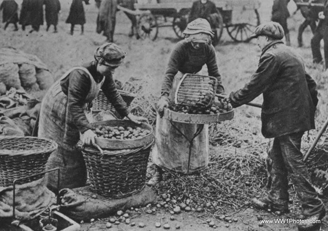 World War One Photo Archive. Homefront-Women Workers